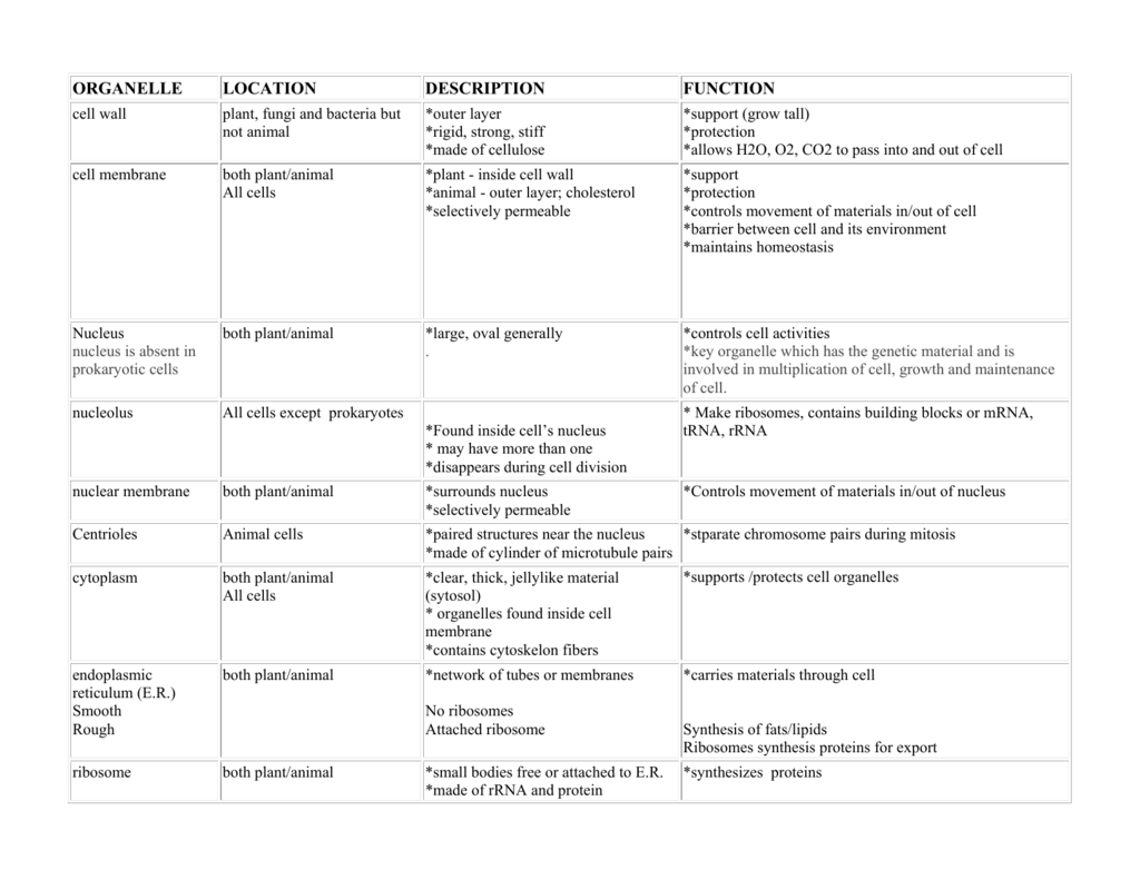  What Are The Different Cell Organelles And Their Functions Cell 