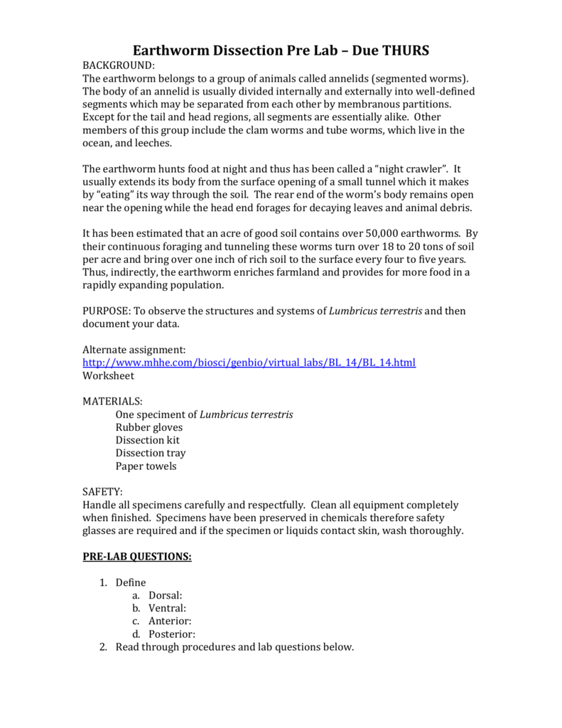 Worksheet Earthworm Worksheet Answers Worksheet Fun Worksheet Study Site