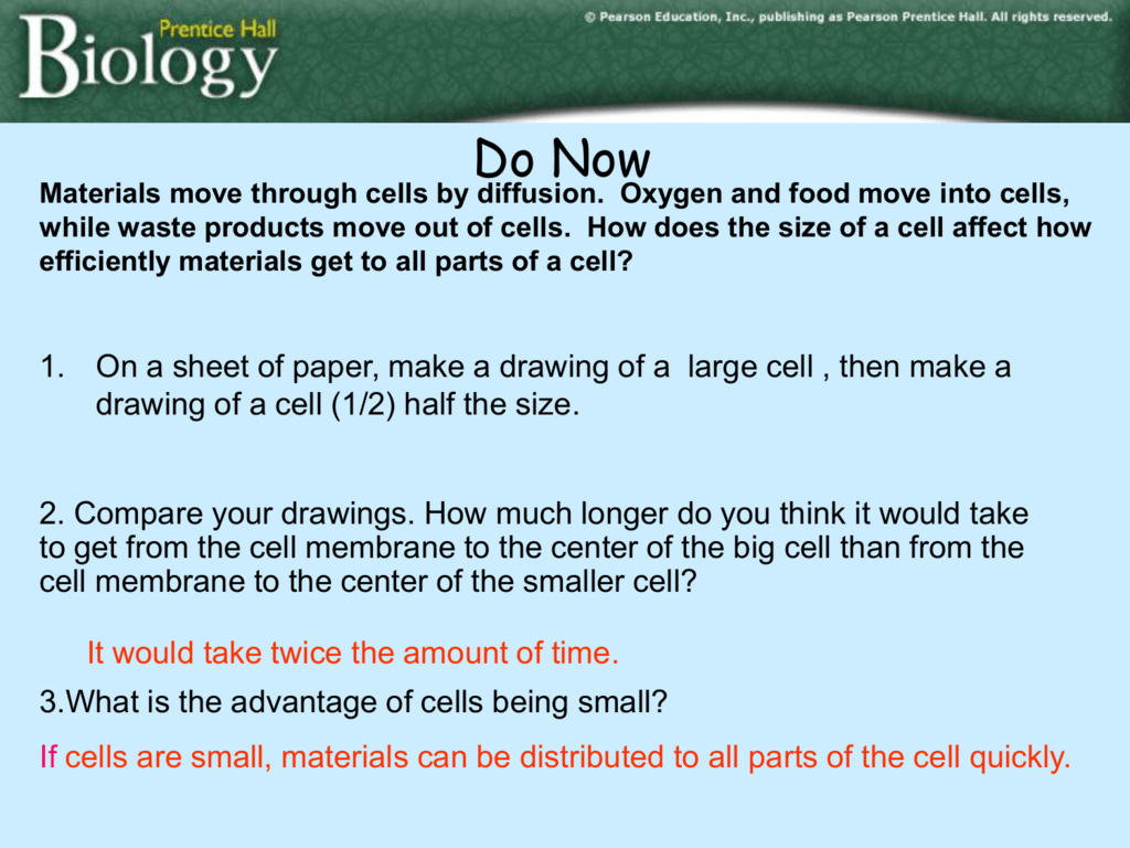 Worksheet Section 10 2 Cell Division Worksheet Answers Grass Fedjp Worksheet Section 10 2 Cell Division Worksheet Answers Grass Fedjp