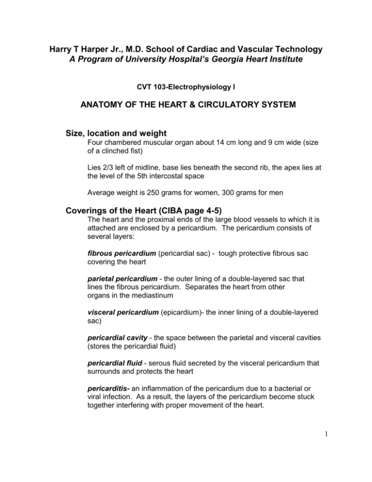 Anatomy Handout University Health Care System Anatomy Handout University Health Care System