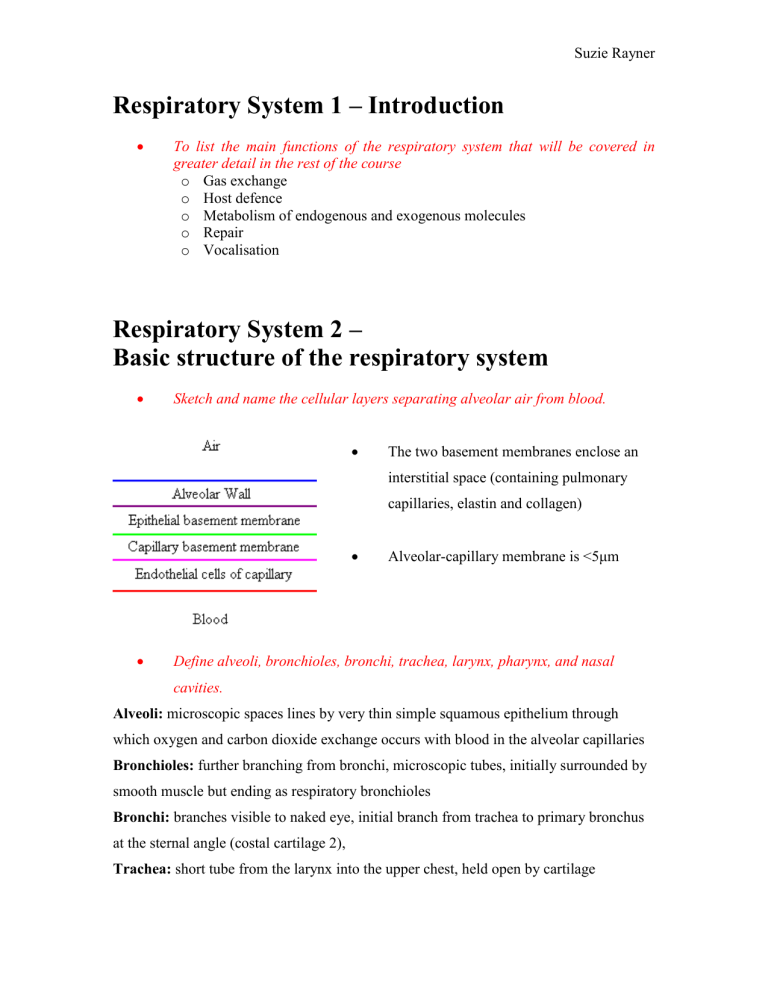 Respiratory System 1 – Introduction