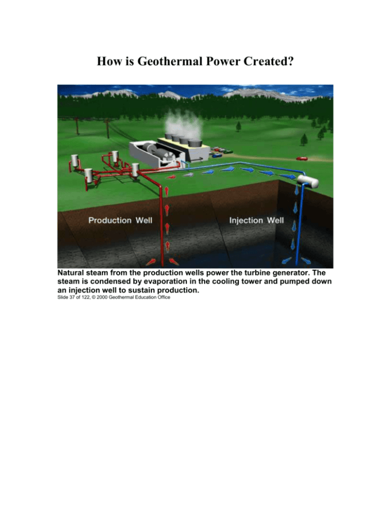 Draw And Label A Diagram