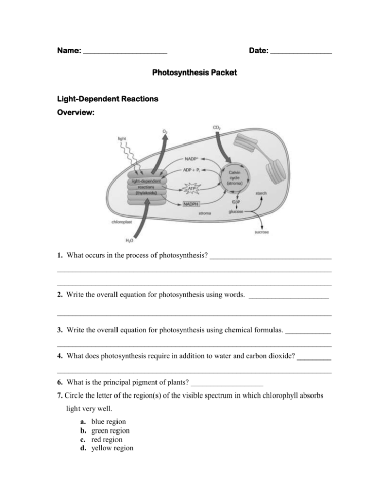 Biology 20 Photosynthesis Worksheet