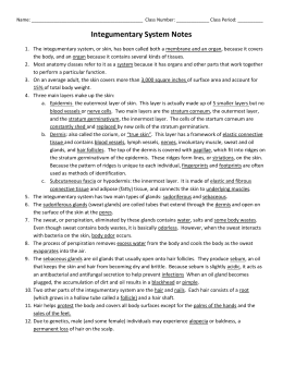 1 INTEGUMENTARY SYSTEM WORKSHEET KEY CONCEPT: The