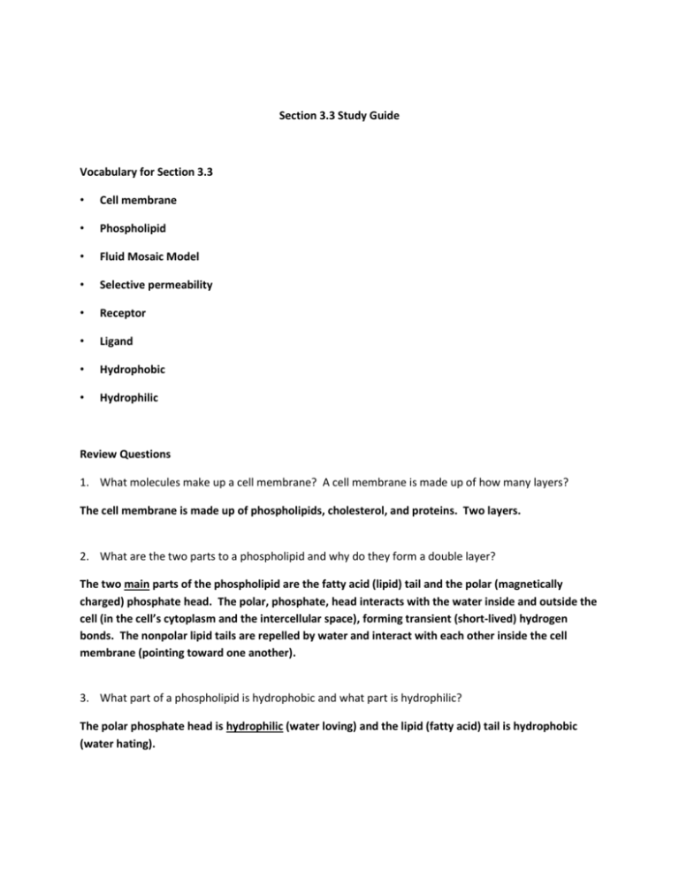 Section 3 3 Study Guide Section 3 3 Study Guide