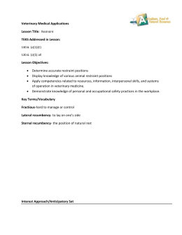 CPI Team Control Position SM