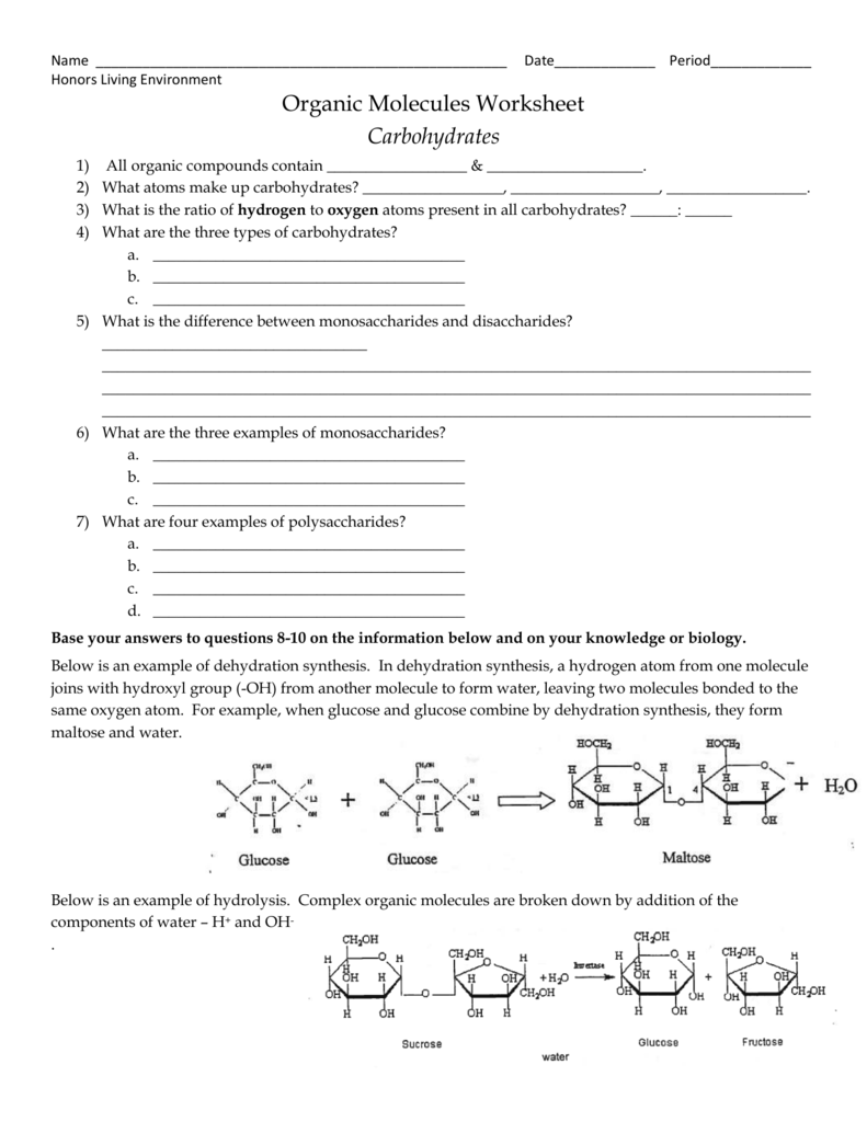 Worksheet Carbohydrates Manhasset Public Schools