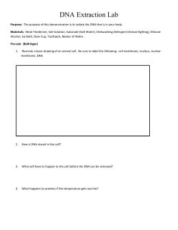 Sample Lab Report- DNA Extraction from Cheek Cells