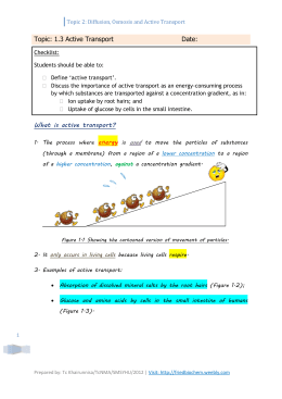 Diffusion, Osmosis and Active Transport Worksheet