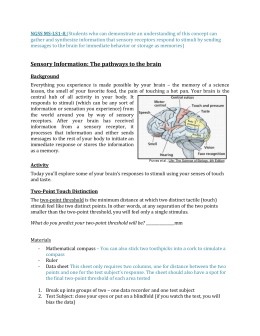 Brain Maps – The Sensory Homunculus