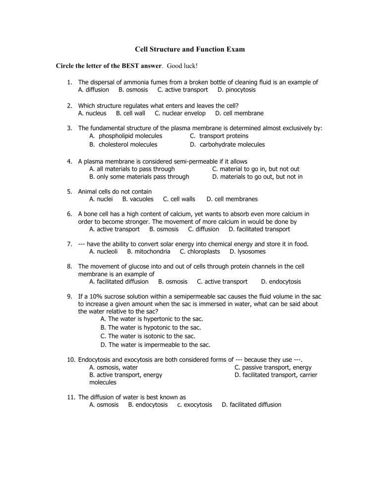 Cell Structure And Function Exam