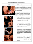 Cow Eye Dissection Guide: Anatomy Lab