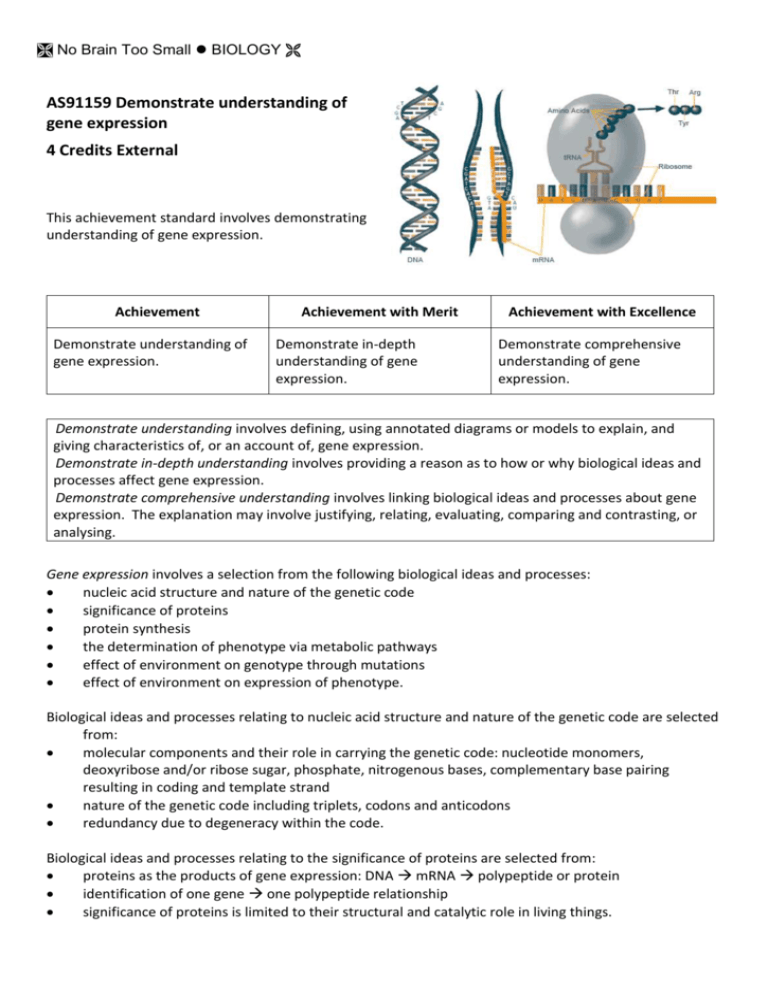 Level 2 Biology No Brain Too Small Level 2 Biology No Brain Too Small