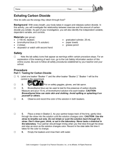 Carbon Dioxide & Exercise Lab worksheets