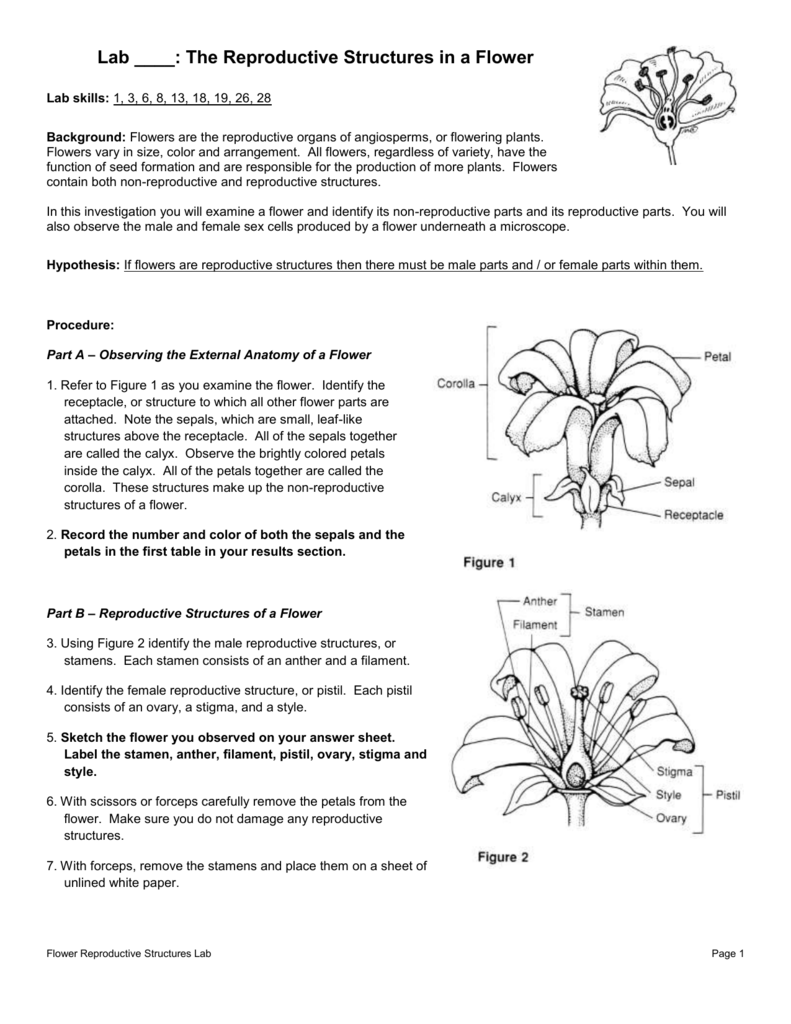 Fresh Flower Structure And Reproduction Answers Flowers Pictures
