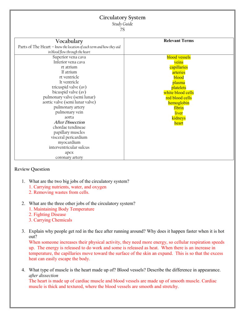 Circulatory System Study Guide 7S Key Circulatory System Study Guide 7S Key