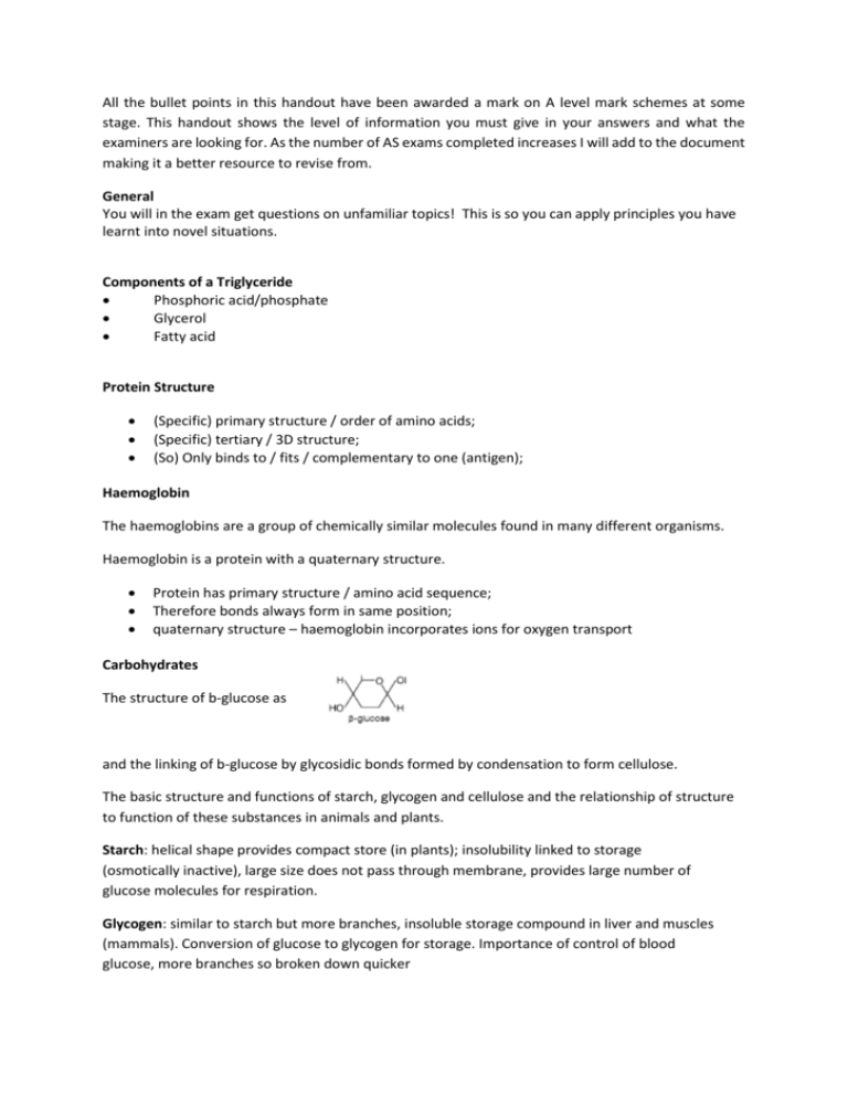 Bullet Point Notes