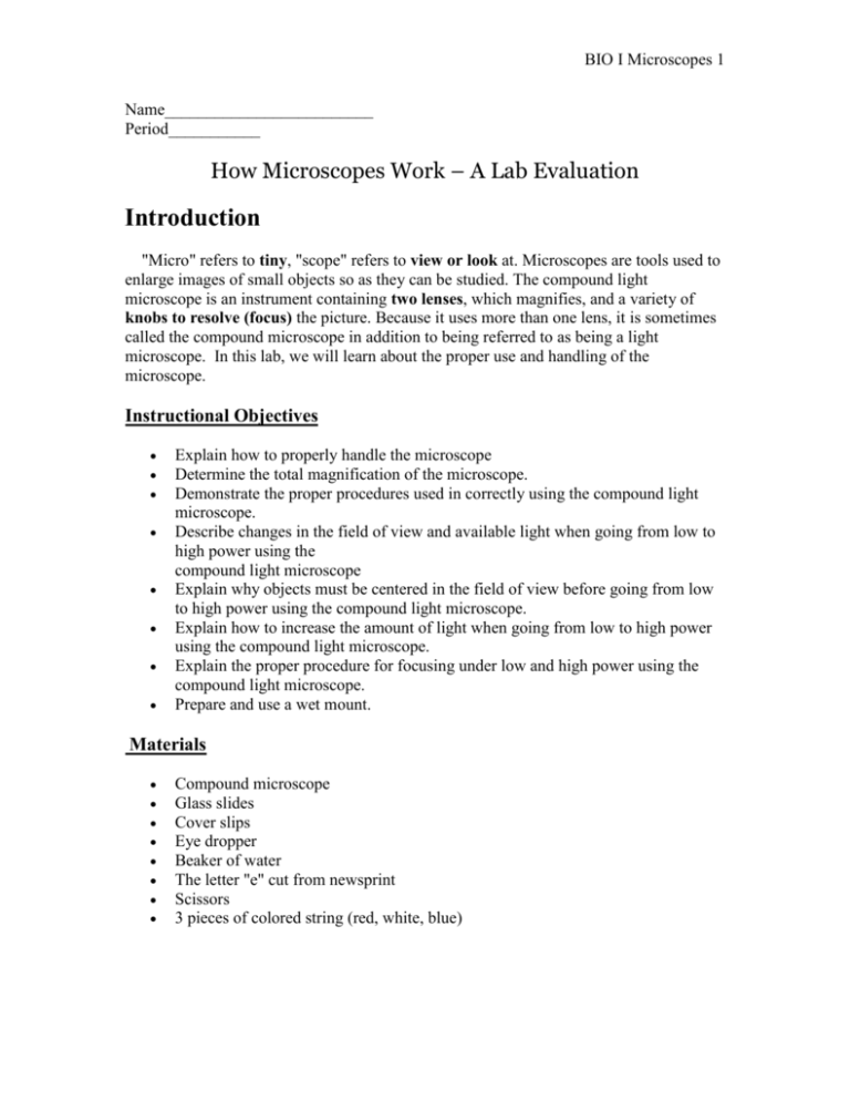 Microscope Skills Activity