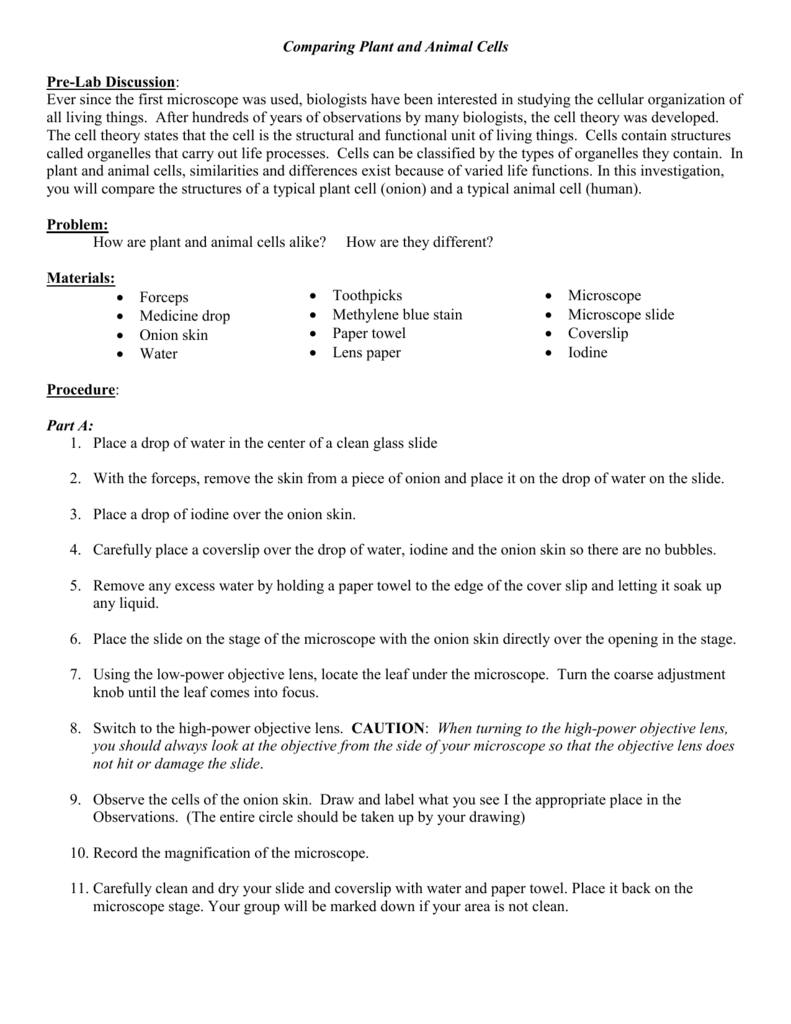 Lab Comparing Plant And Animal Cells Lab Comparing Plant And Animal Cells