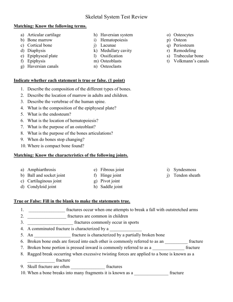 Skeletal System Test Review Matching Know The Following Terms