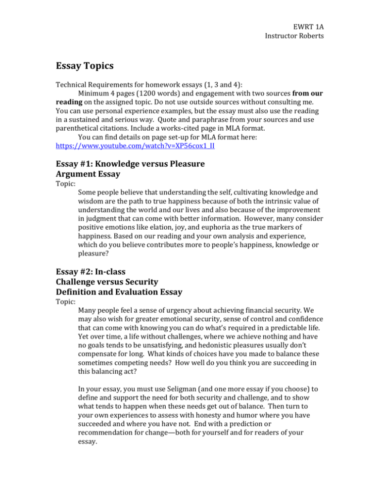 Essay Assignments