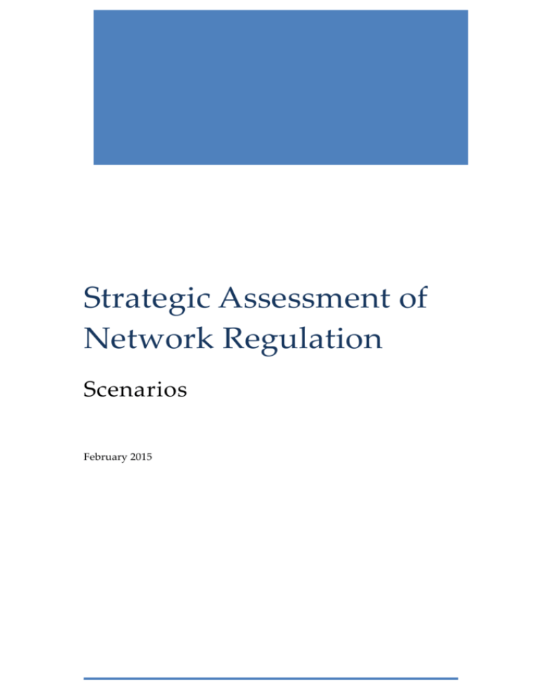 Strategic Assessment of Network Regulation