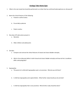 CPT Codes (Cheat Sheet)