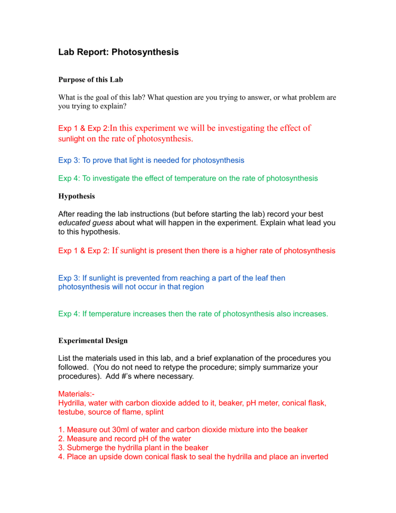 Lab Report Photosynthesis Lab Report Photosynthesis