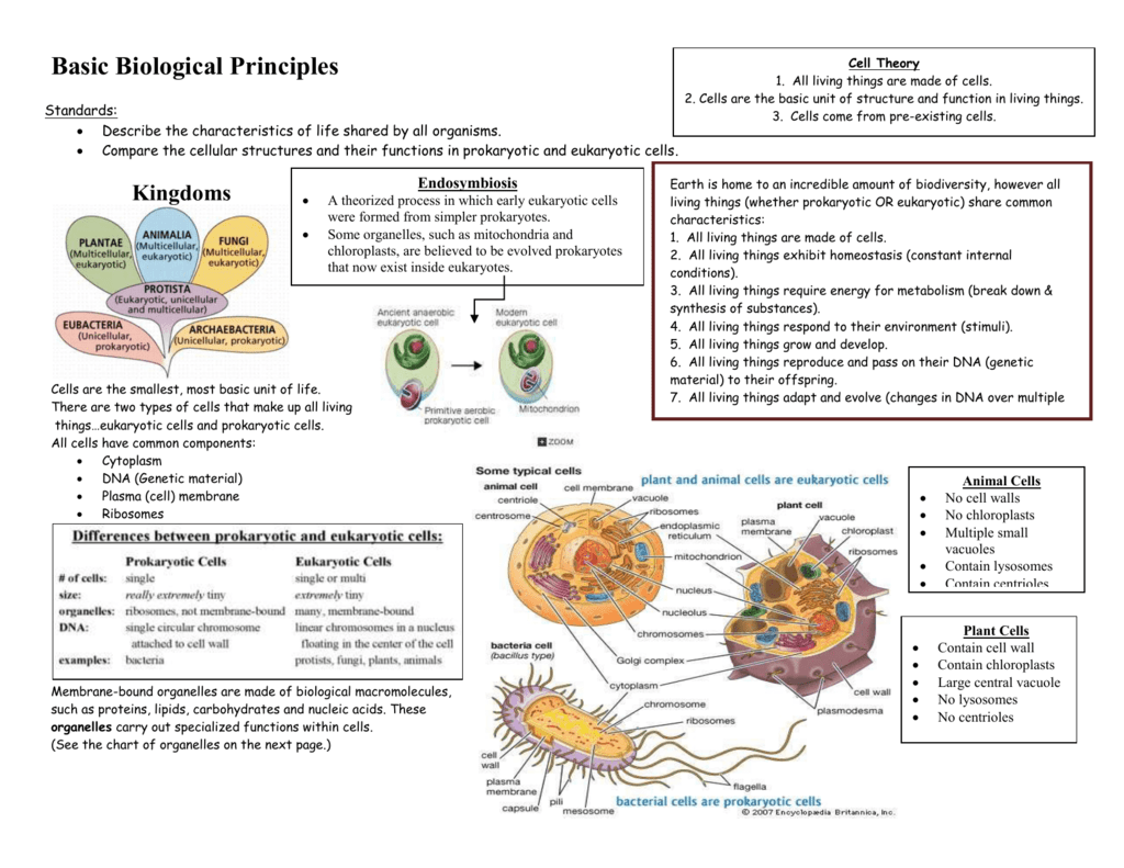 Basic Biological Principles Study Guide 1