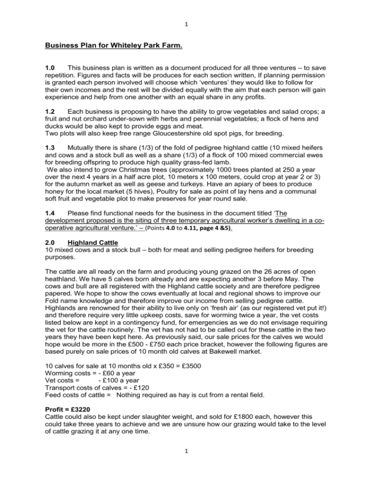 Business Plan - WordPress.com
