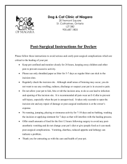 Print Out Your Neuter Discharge Instructions!