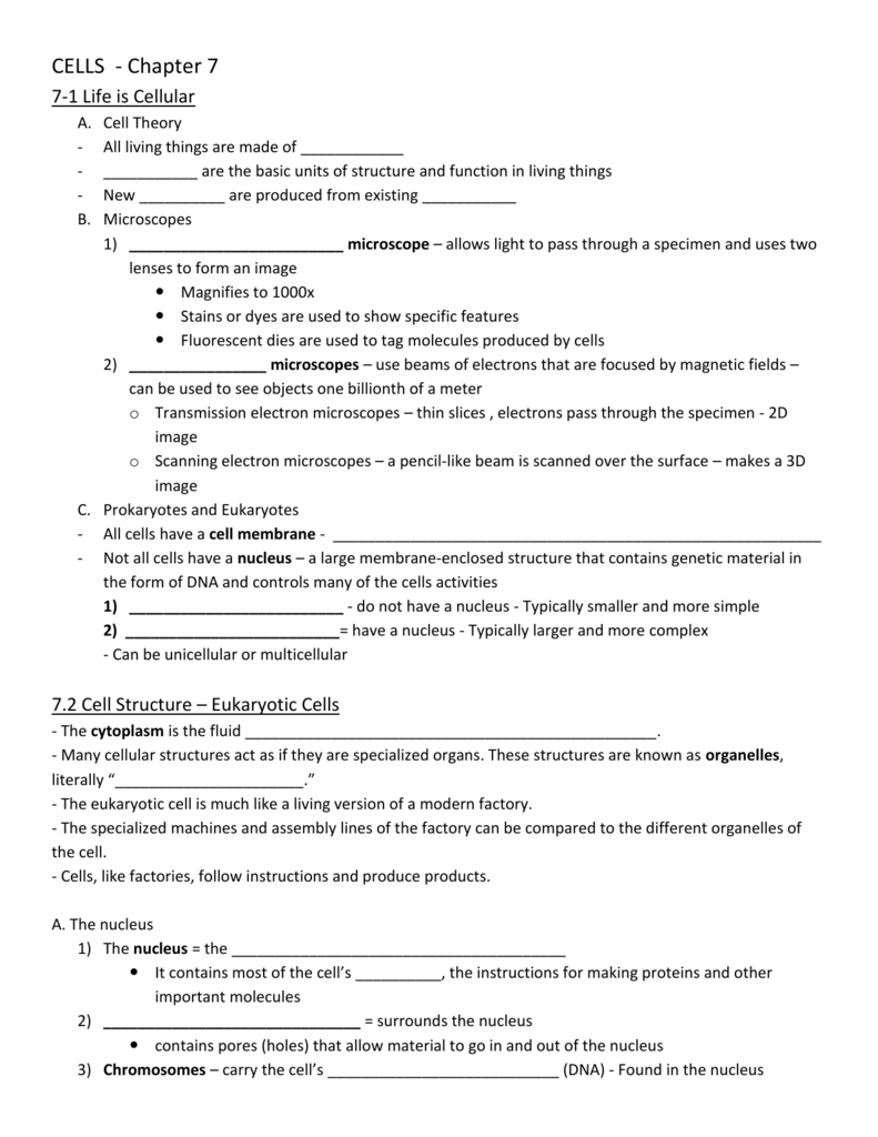 Chapter 7 Cell Structure And Function All You Need Infos