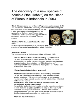 hominid skull comparison