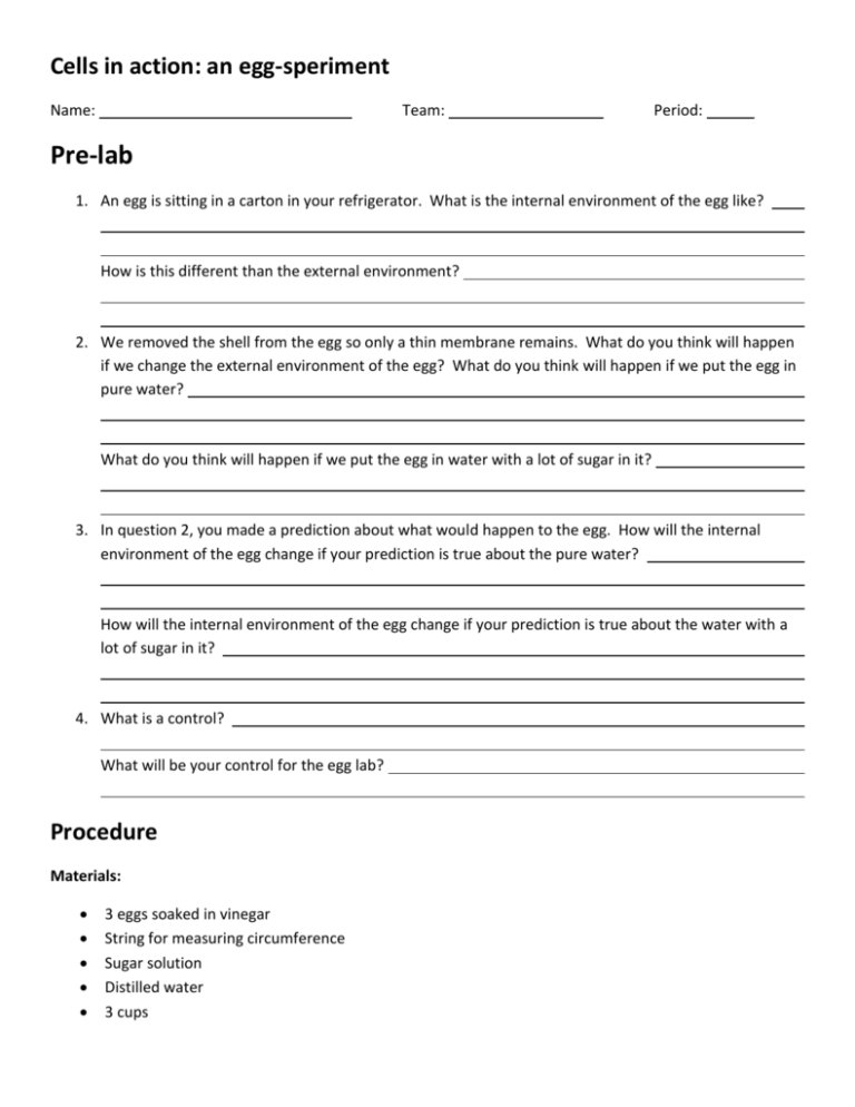 Handout for the egg lab