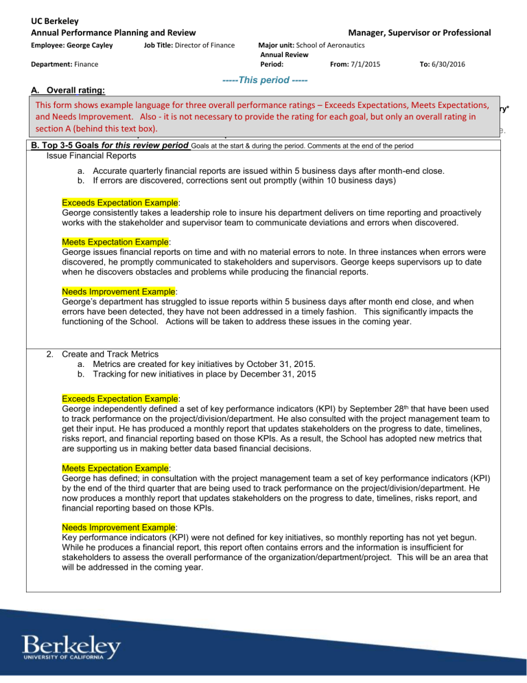 SAMPLE Performance Review Form For Director Of Finance And