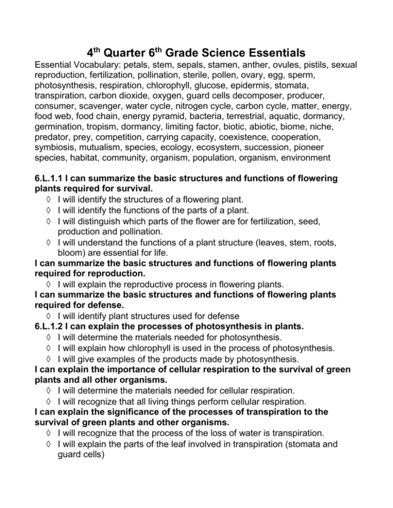 I Can Summarize The Basic Structures And Functions Of Flowering