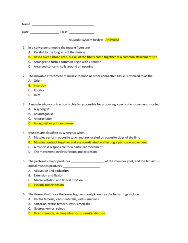 Muscular System Review Answers Muscular System Review Answers