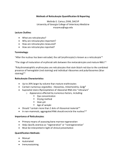 Reticulocyte Count