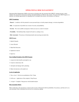 Operational Risk Management in the Navy
