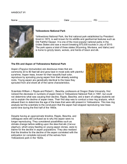 The Yellowstone Food Webs