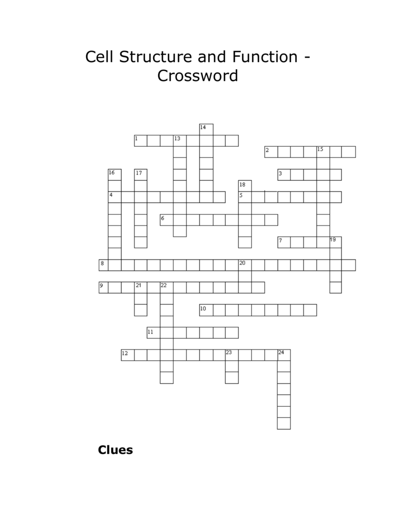 Cell Structure And Function Crossword Puzzle
