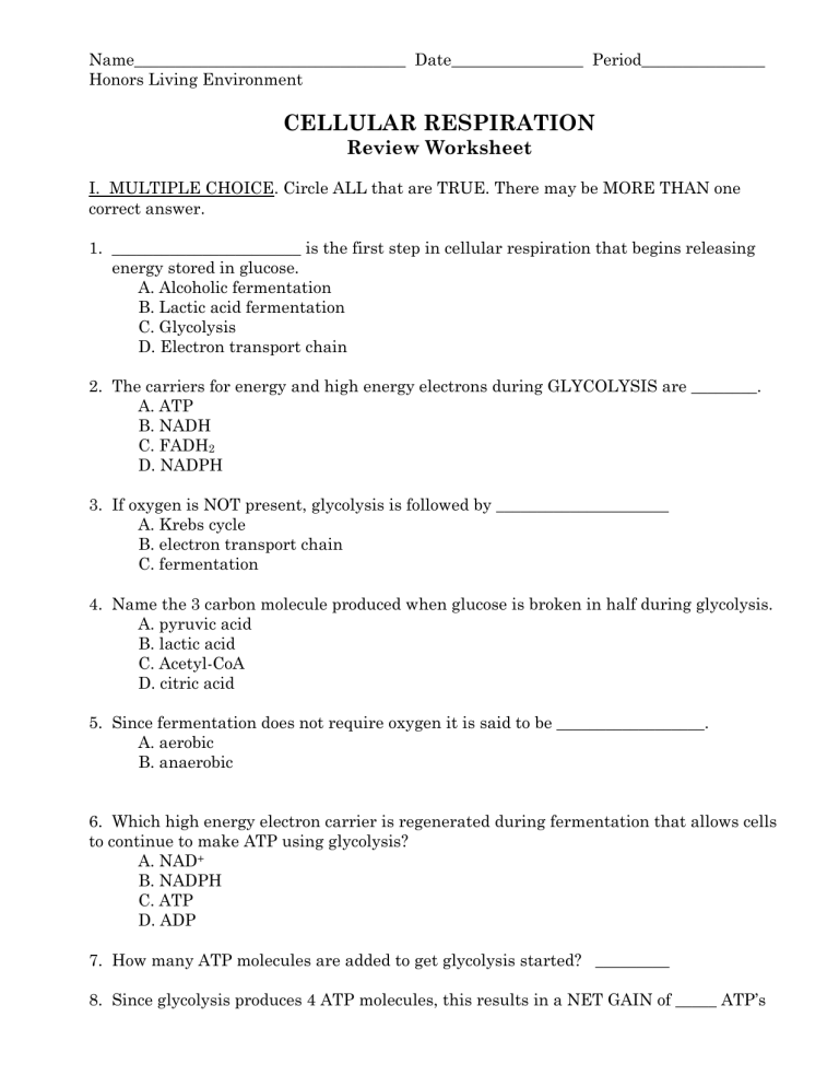 Cellular Respiration Review Worksheet Cellular Respiration Review Worksheet