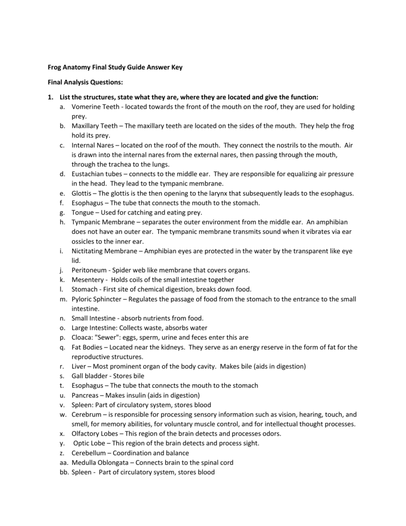 Frog Anatomy Study Guide Answer Key