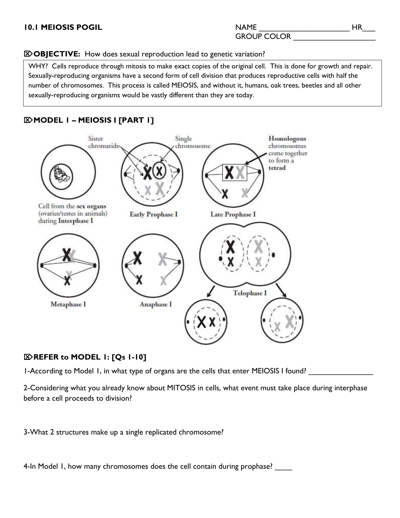 Snurfle Meiosis Worksheet Answer Key Page 2 Meiosis And Genetics Snurfle Meiosis Worksheet Answer Key Page 2 Meiosis And Genetics