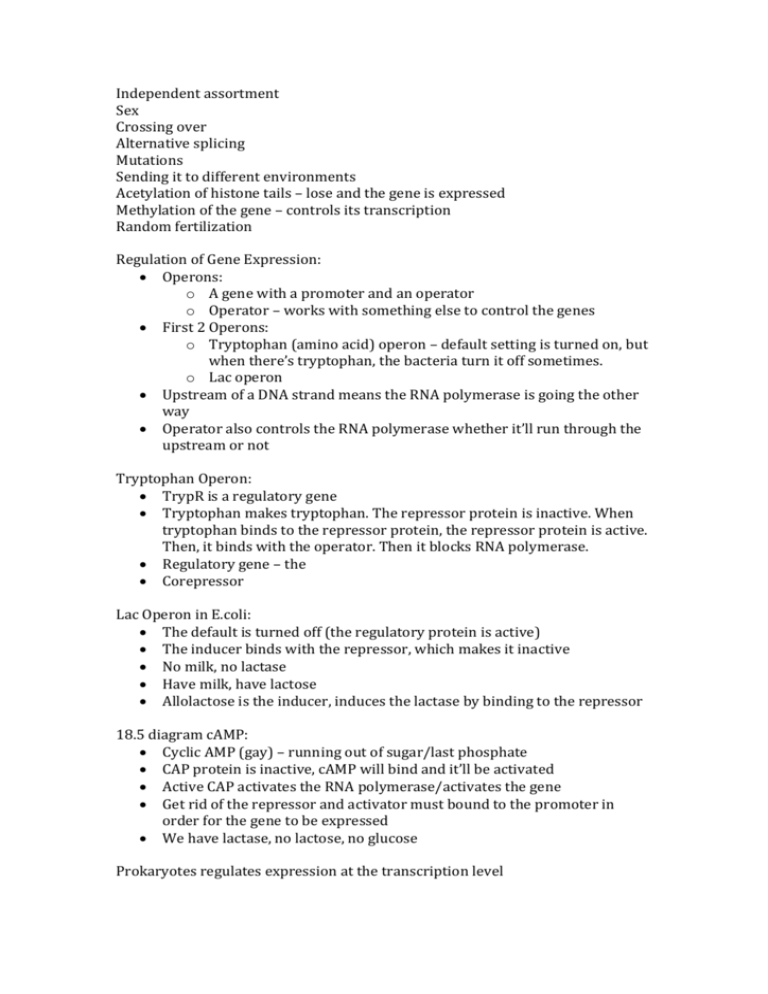 Regulation Of Gene Expression