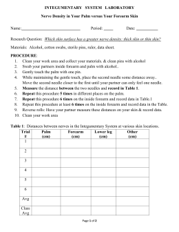 Gray Ramus Communicans Nerve Block