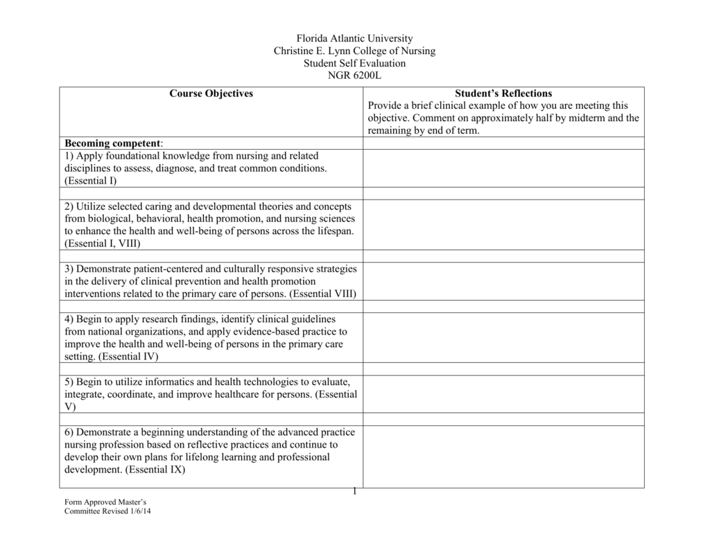 NGRL6200 Faculty Student Evaluation Form