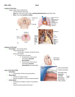 Dissection of a Pig Heart