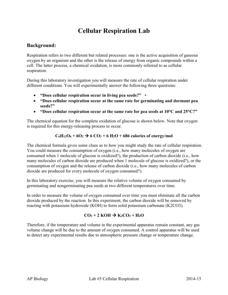 AP Lab 5 Cellular Respiration AP Lab 5 Cellular Respiration