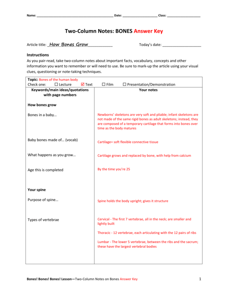 Two Column Notes BONES Answer Key Two Column Notes BONES Answer Key